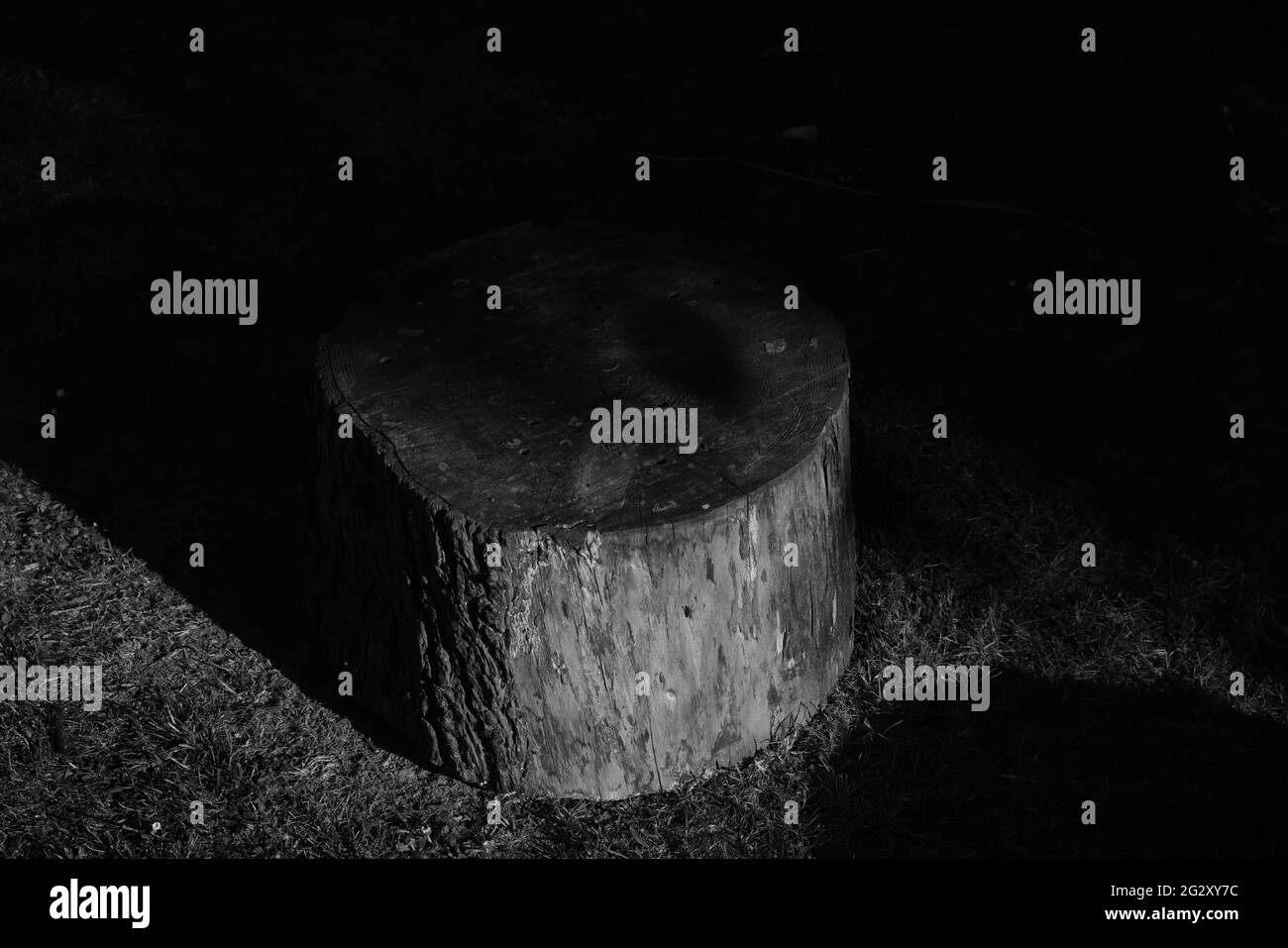 Black and white image of a log Stock Photo - Alamy