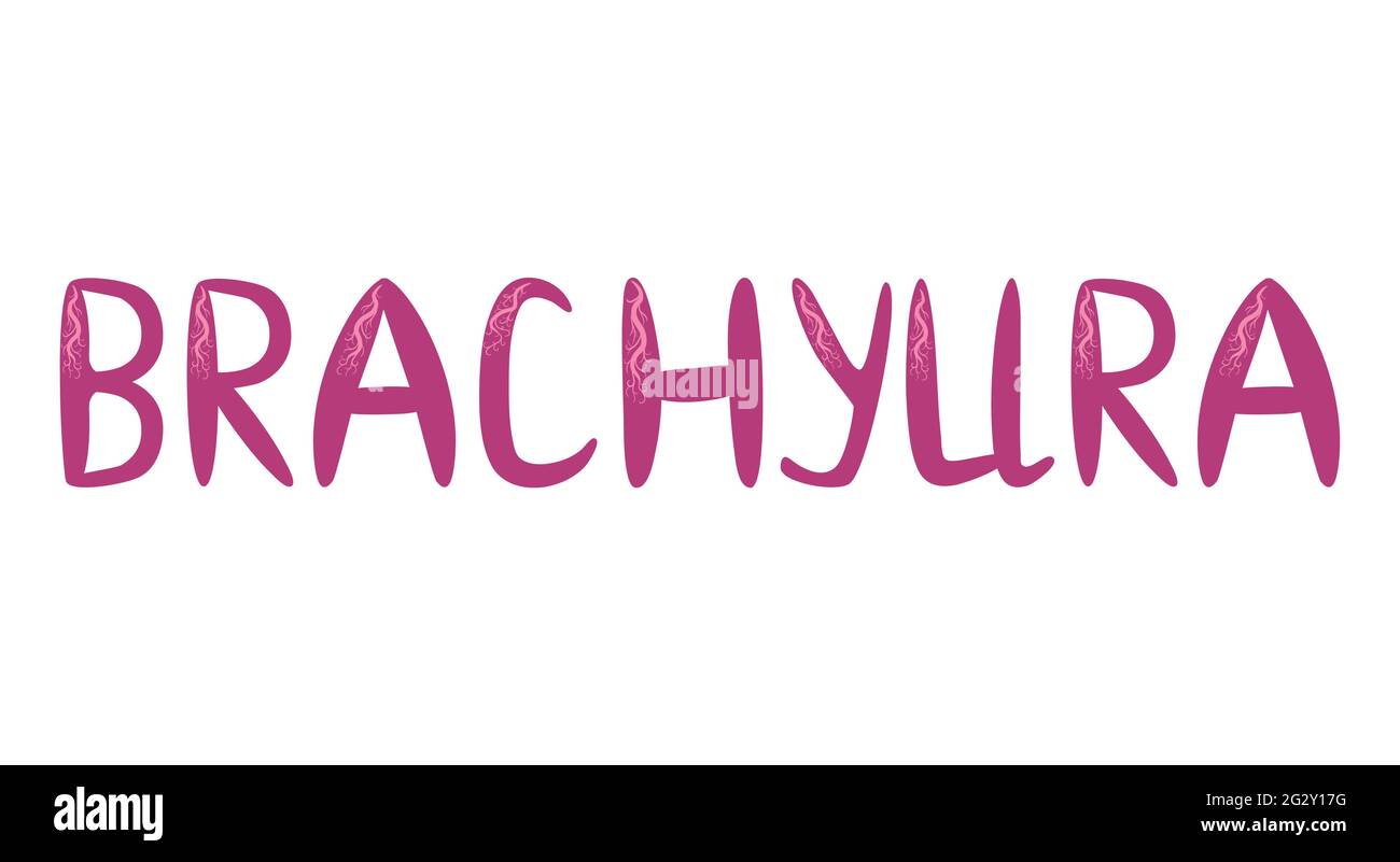 Funny red Brachyura lettering hand drawn. Cute sea life Stock Vector ...