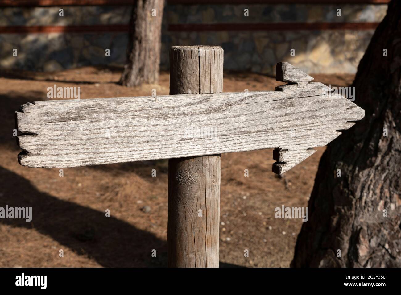 Wooden sign with arrow in stand in the forest under a tree. The concept ...