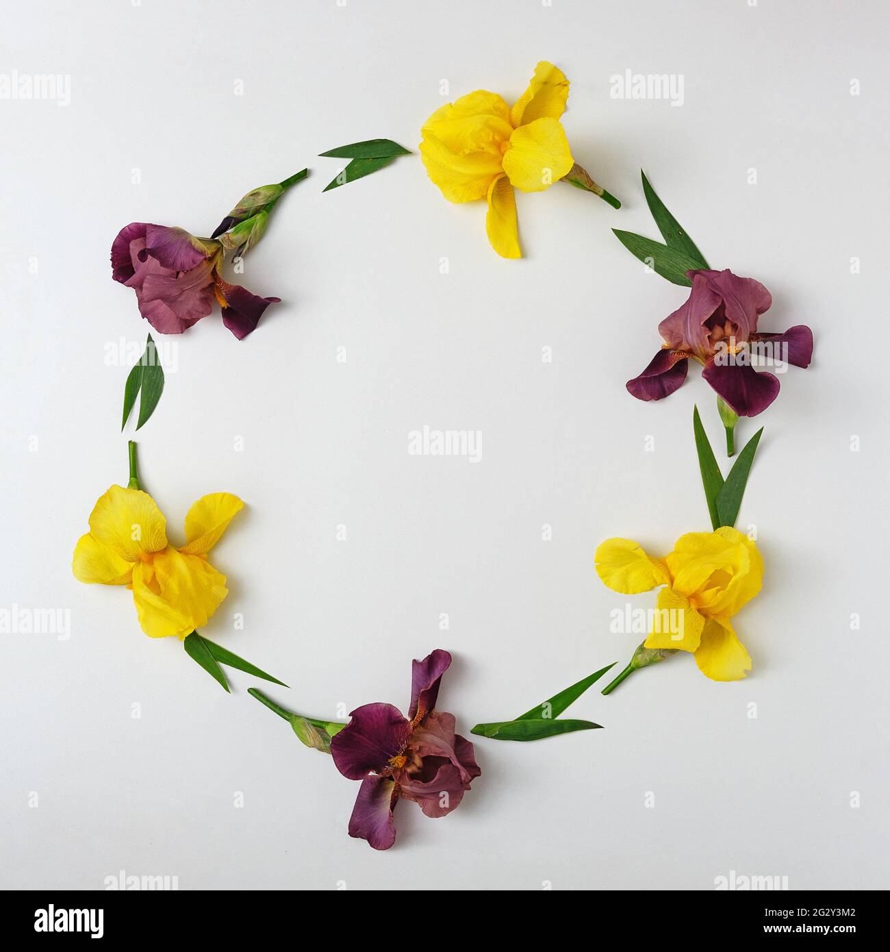 Invitation with a border and a wreath of yellow and purple irises ...