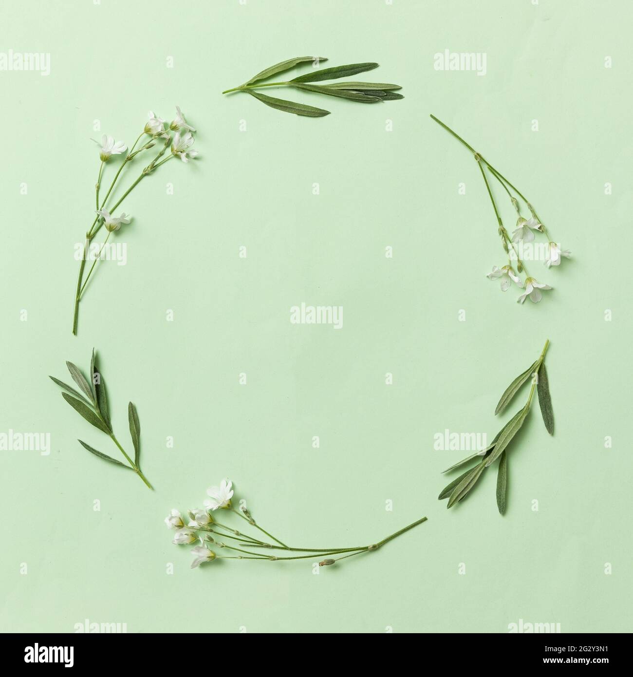 Border or frame for an invitation. Contemporary wreath for invitation ...