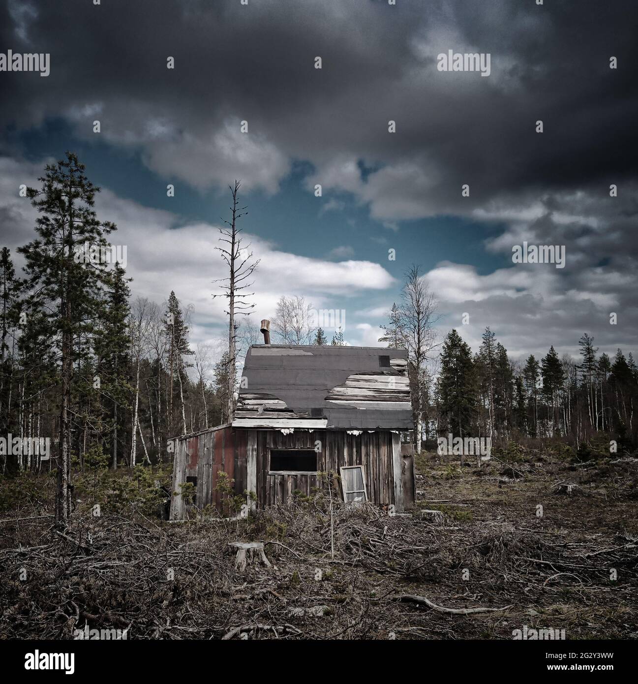 Broken ruined hut on a forest clearing Stock Photo - Alamy