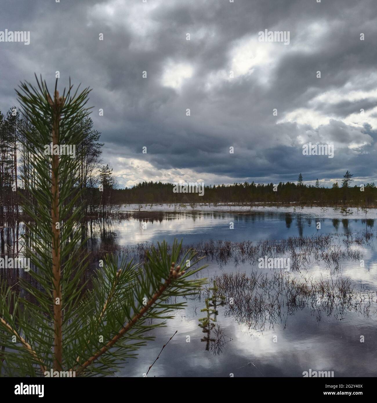 Swedish lapland spring hi-res stock photography and images - Alamy