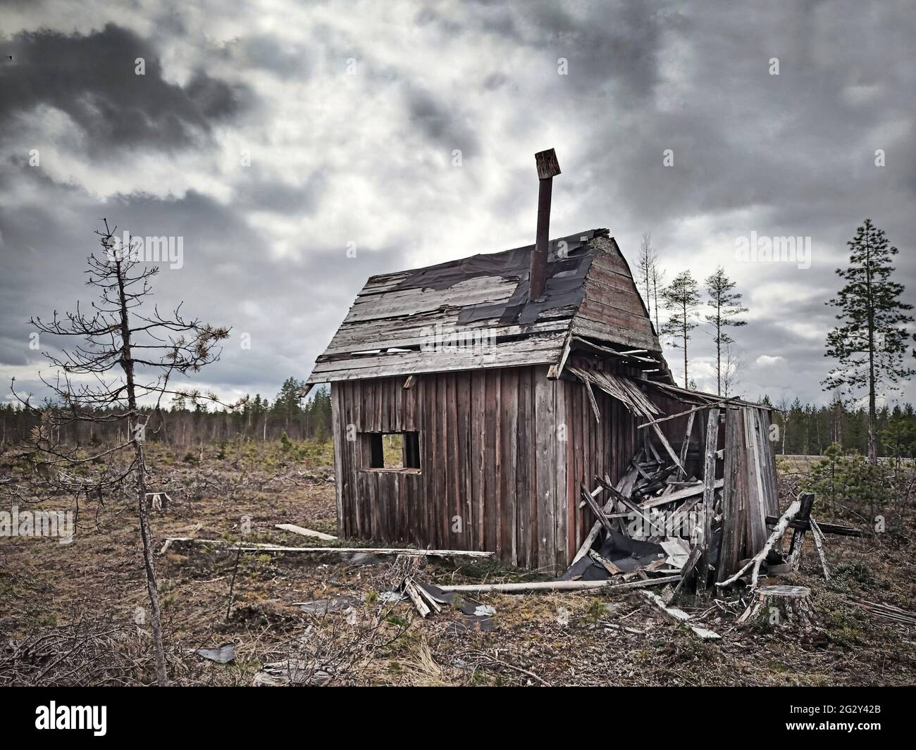 Broken ruined hut on a forest clearing Stock Photo - Alamy