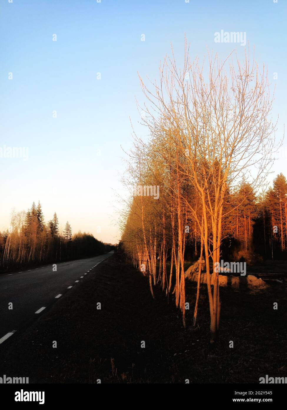 Blue gold evening hi-res stock photography and images - Alamy