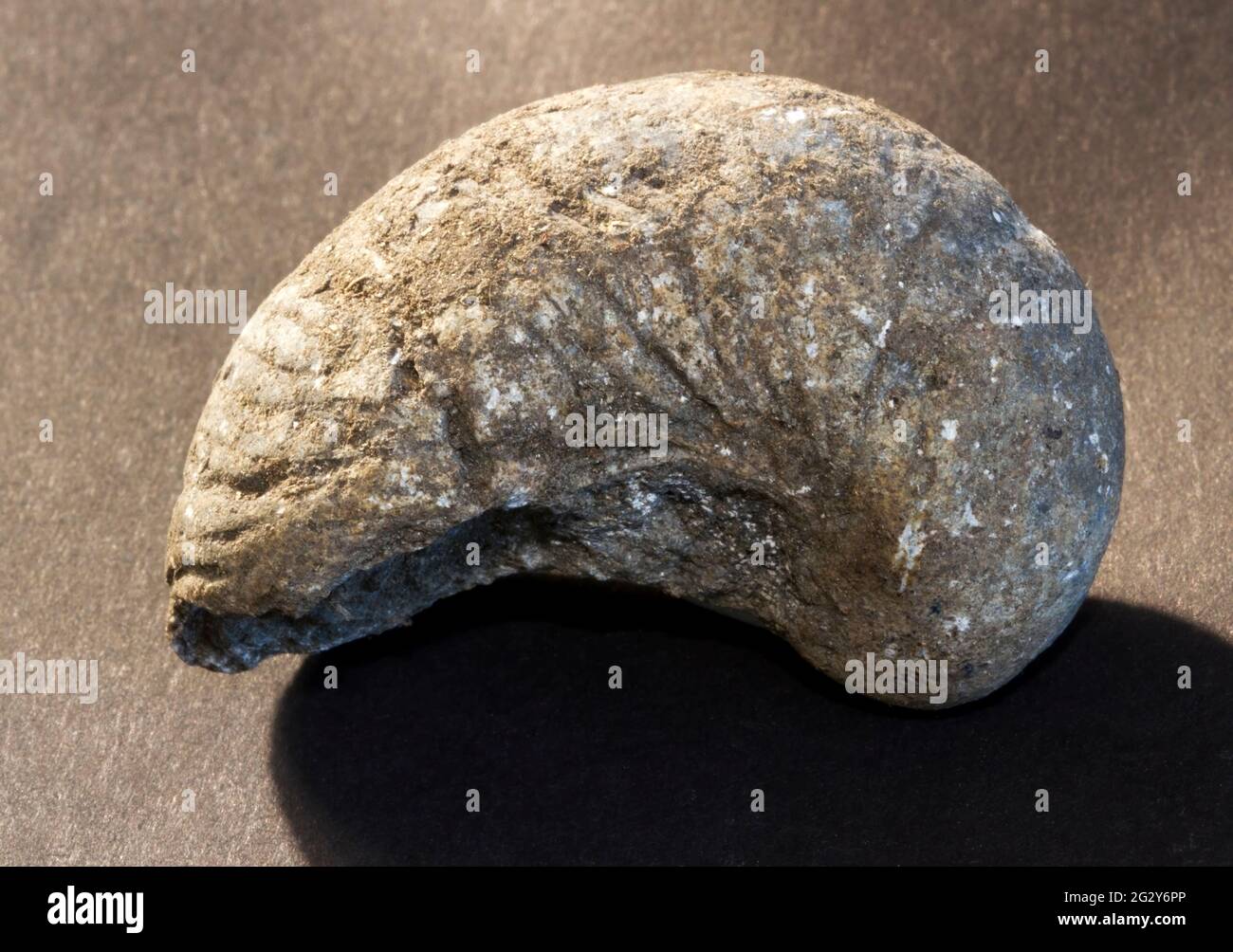 Mesozoic Sedimentary Rocks High Resolution Stock Photography and Images ...