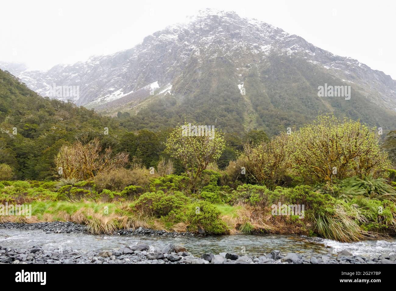 Landscape around Dunedin at the South Island of New Zealand Stock Photo ...