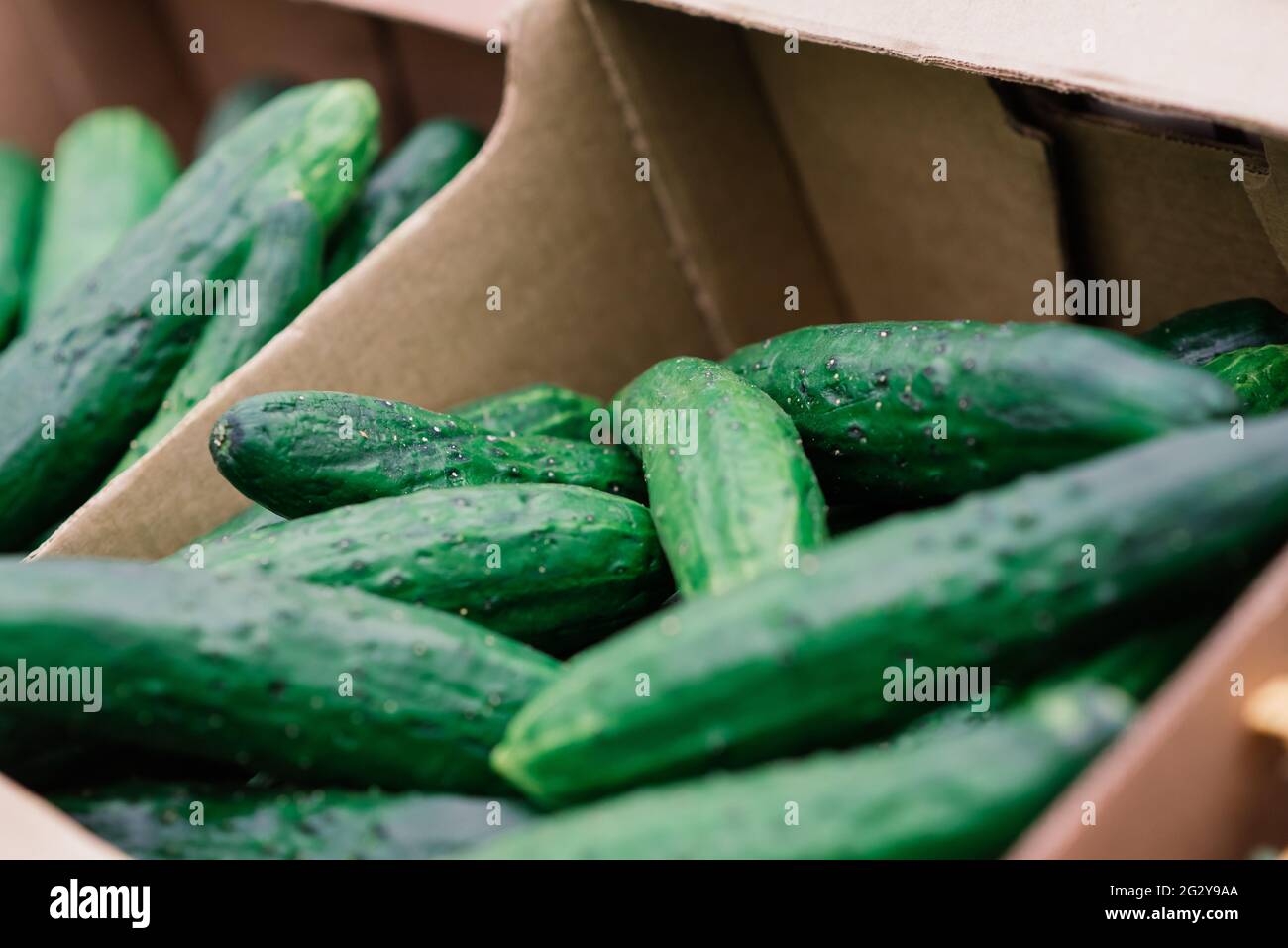 Bunch of cucumbers on boxes in a supermarket Stock Photo - Alamy