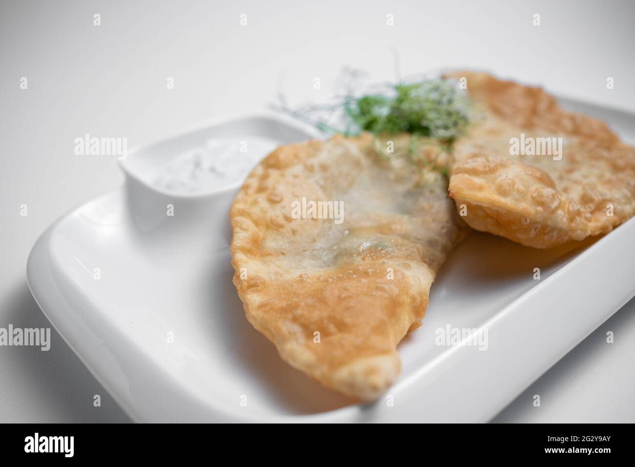cheburek or fried dough pie with meat feeling and sauce on white ...