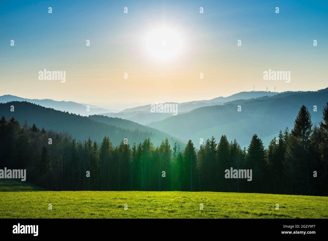 Germany, Schwarzwald forest silhouette of trees covering the valleys ...