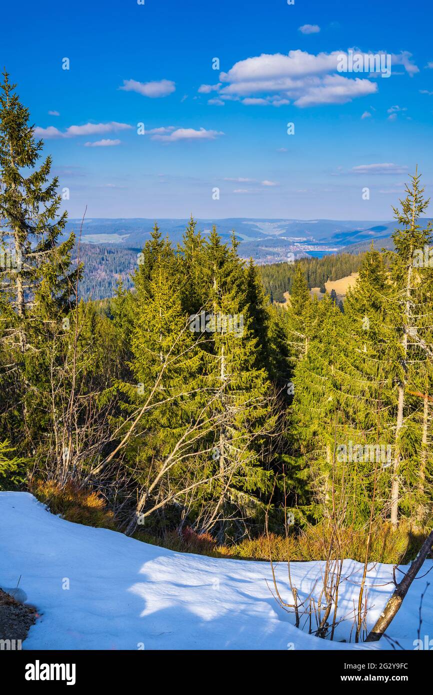 Hinterzarten schwarzwald hi-res stock photography and images - Alamy