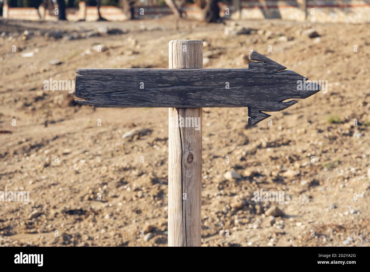 Plaque under tree hi-res stock photography and images - Alamy