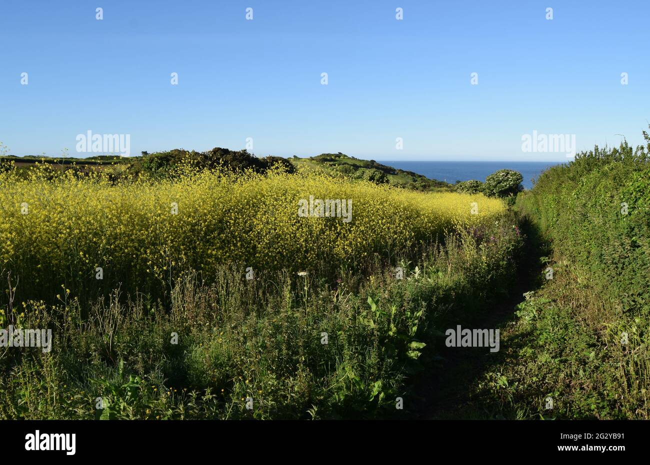 Country footpath hi-res stock photography and images - Alamy