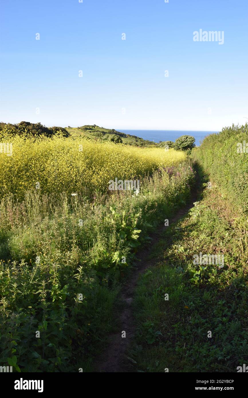 Coastal Path portrait Stock Photo - Alamy