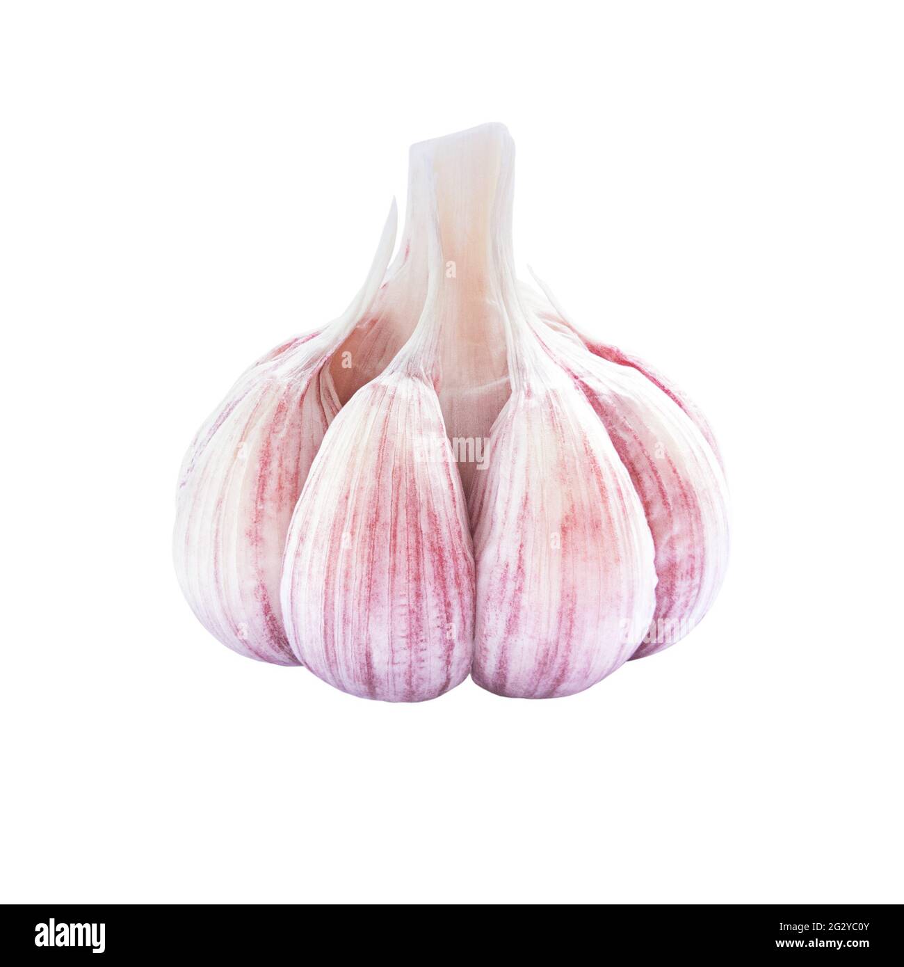 Garlic raw vegetable isolated on a white background Stock Photo - Alamy