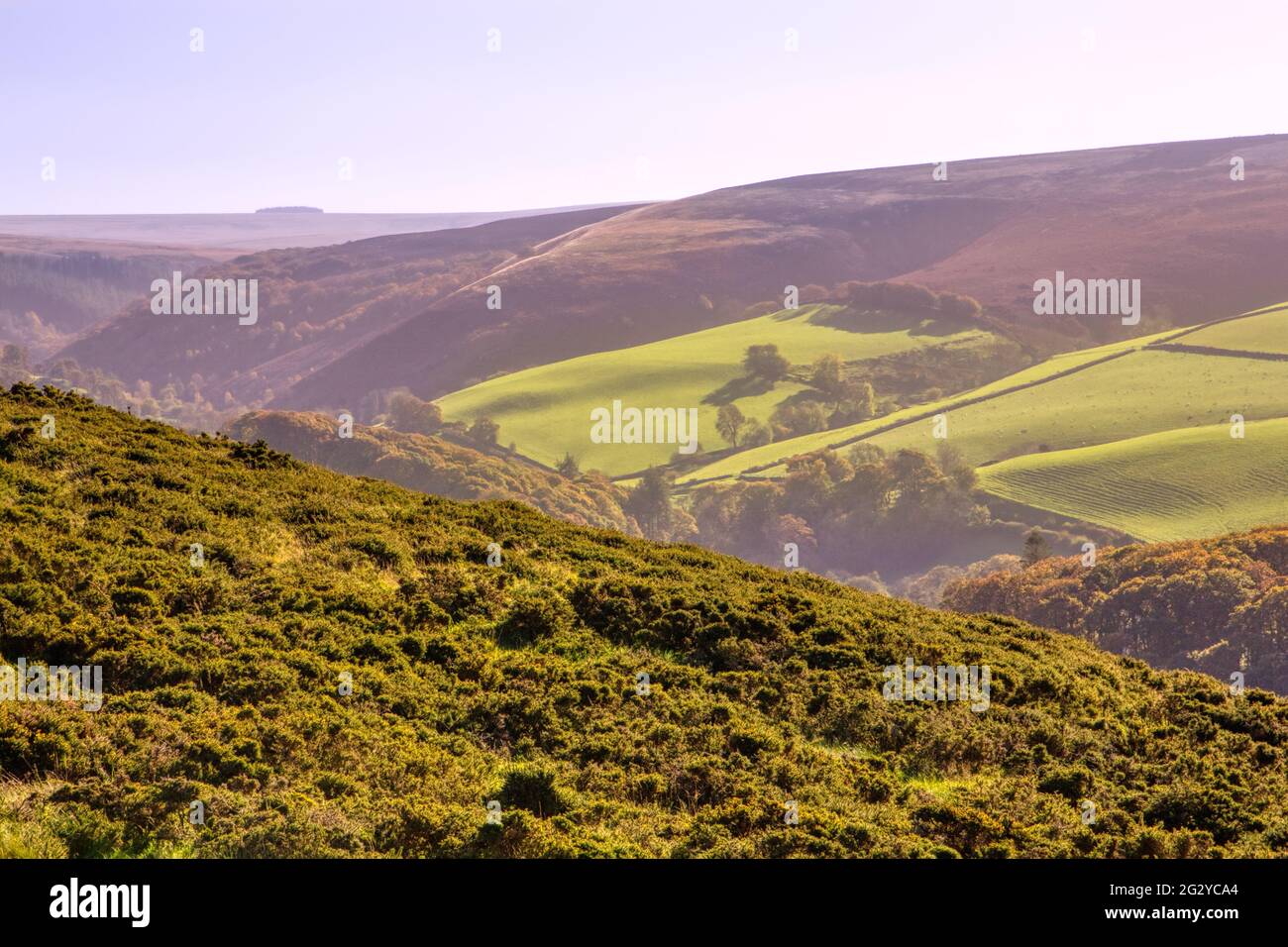 The Exmoor Scene, North Devon Stock Photo - Alamy