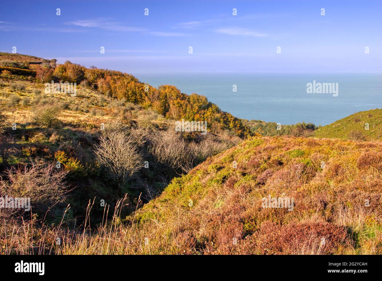 The Exmoor Scene, North Devon Stock Photo - Alamy