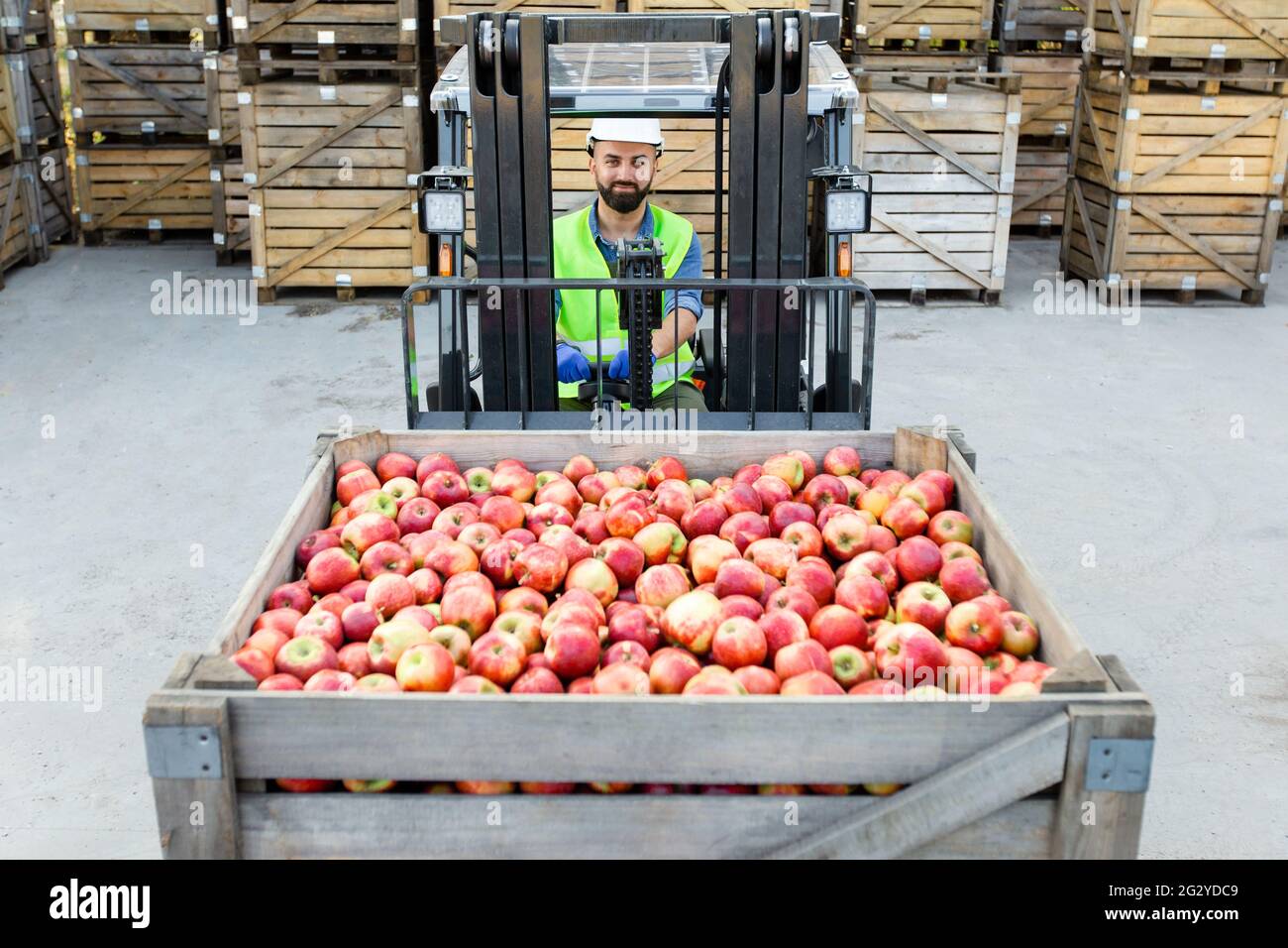 Work in warehouse, storage and distribution of fruit for production ...