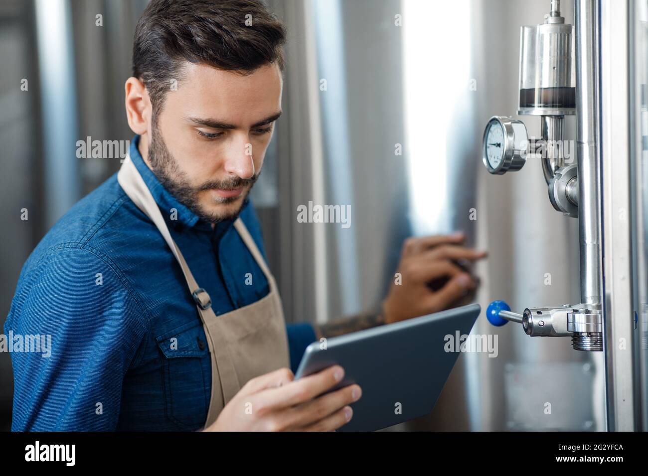 Portrait of brewery worker checking fermentation process, technology ...