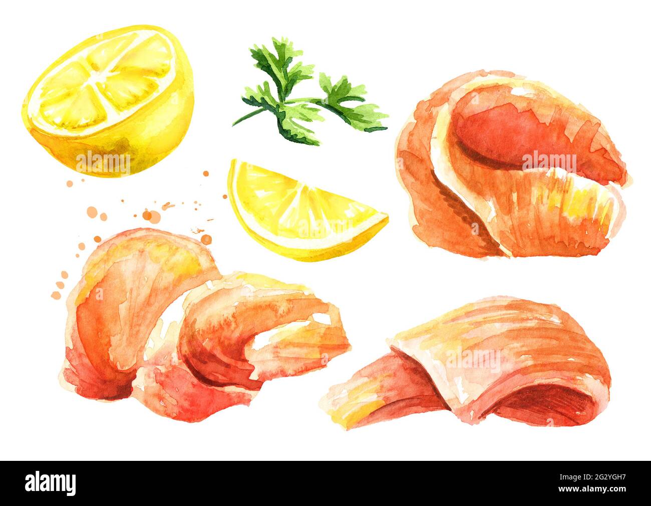 Smocked salmon fillet set. Watercolor hand drawn illustration isolated ...