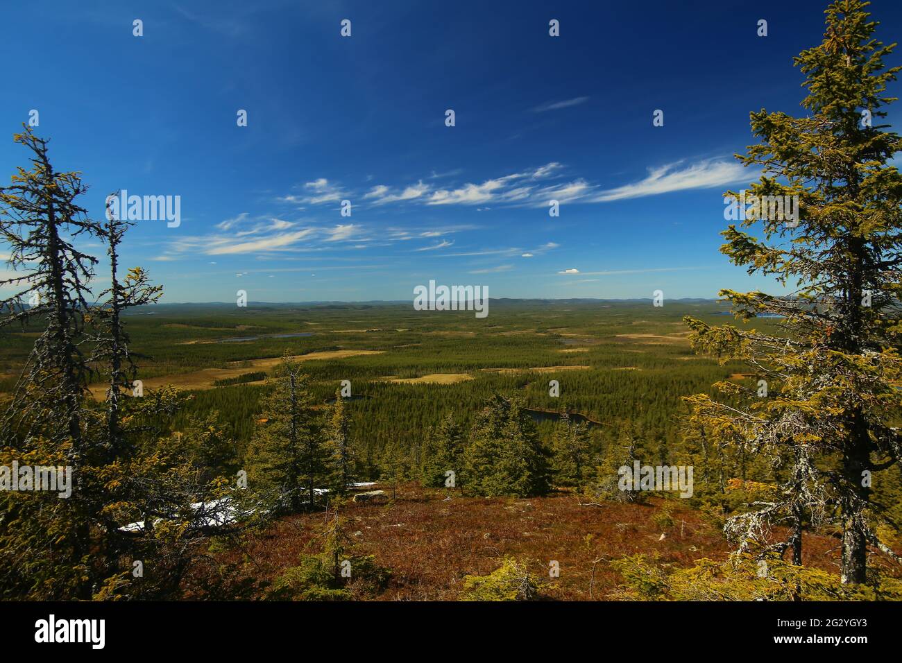 Lapland landscape seen from hi-res stock photography and images - Alamy