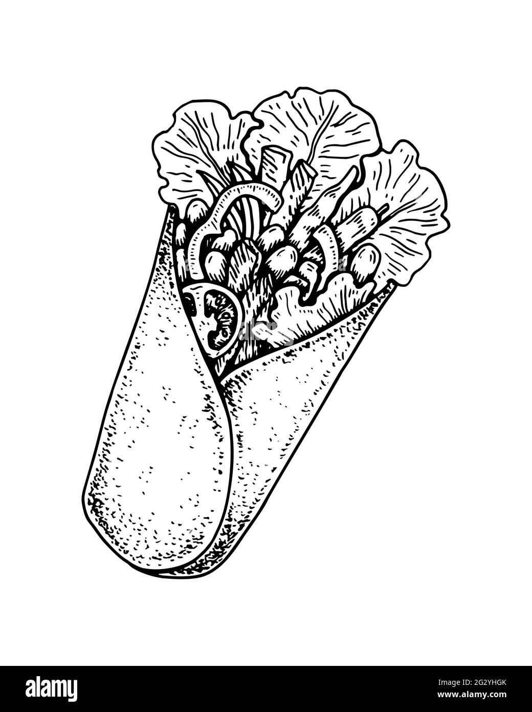 Hand drawn Mexican burritos. Vector illustration in sketch style Stock Vector Image & Art - Alamy
