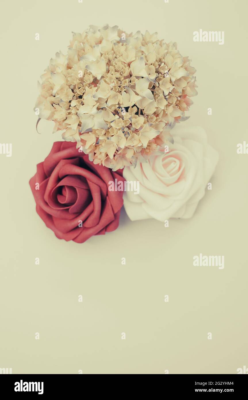 backdrop floral theme - isolated flowers still life on an empty ...