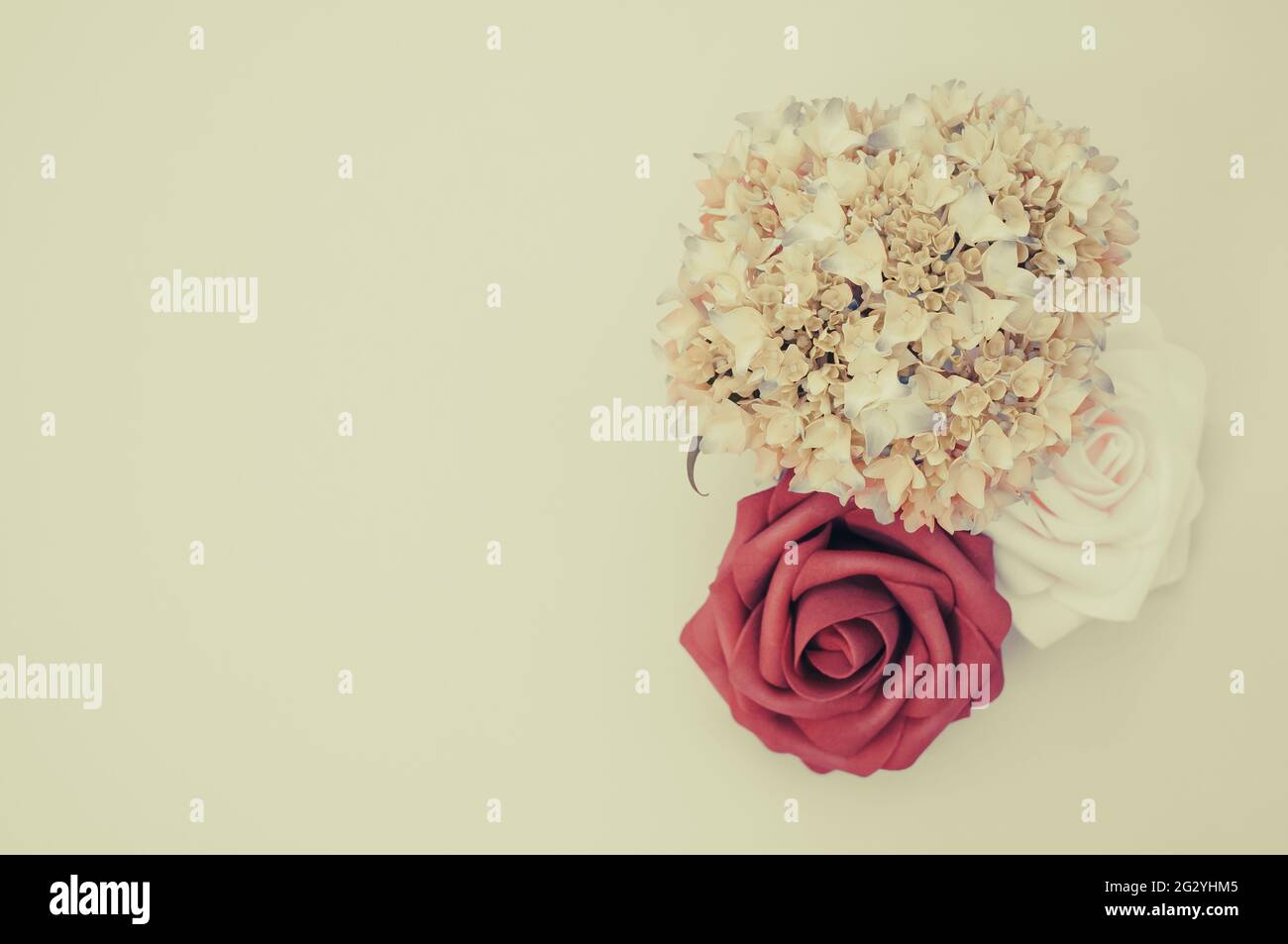 backdrop floral theme - isolated flowers still life on an empty ...