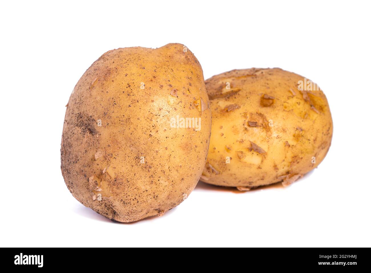 Two dirty potatoes isolated on white background, vegetable. Food Stock ...