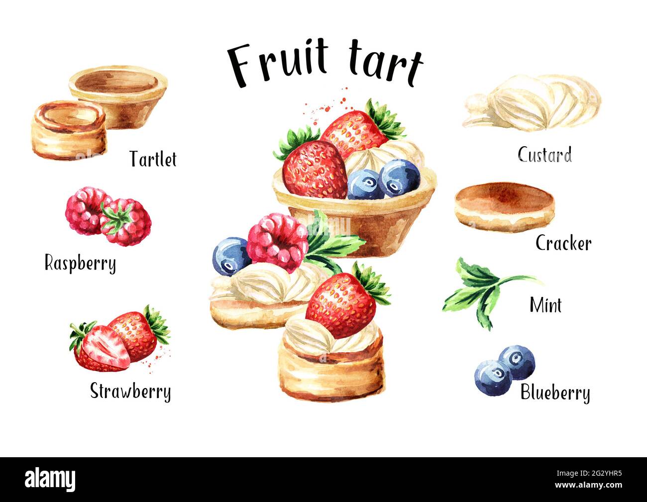 Festive food. Sweet tart with fruits and berries recipe and ingredients ...