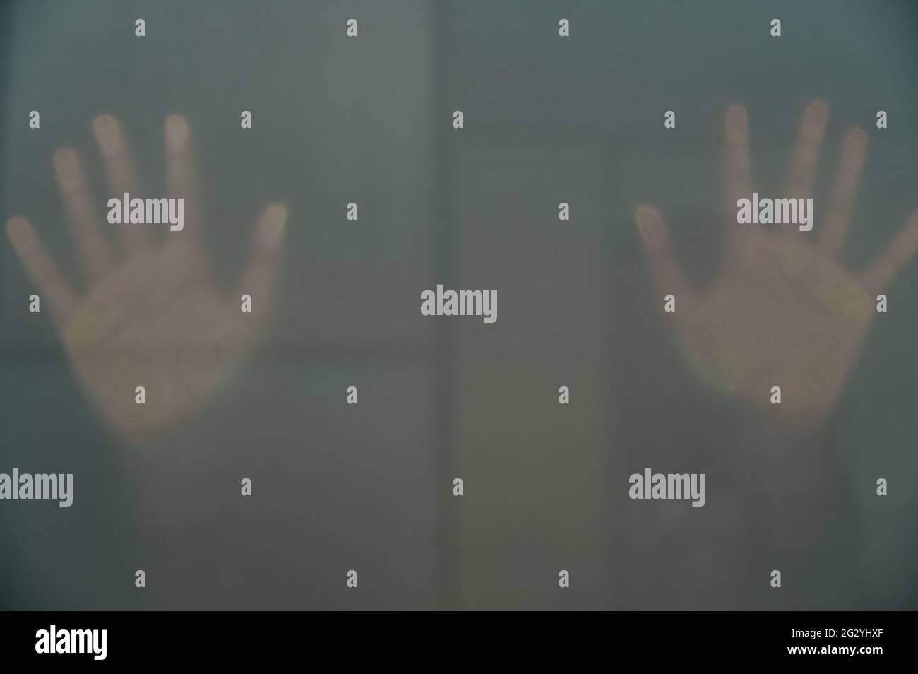 Reflection of shadows of children hands on frosted glass, blur Stock ...