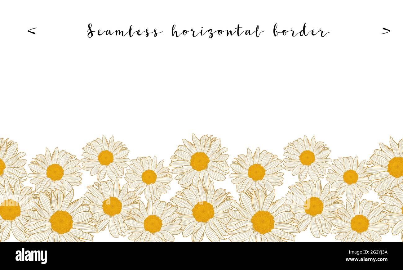 Yellow Daisy Border Clipart
