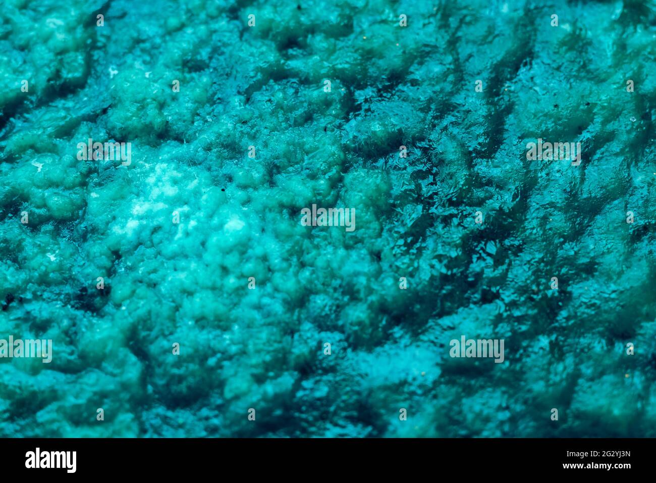 Abstract watercolor green background pattern for design. Liquid fluid ...