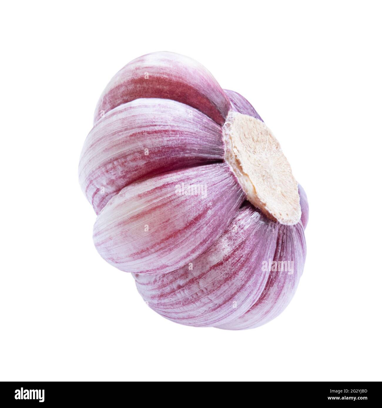 Garlic head cut out hi-res stock photography and images - Alamy