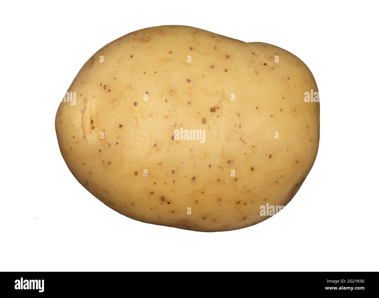 A white potato on a plain white background Stock Photo - Alamy