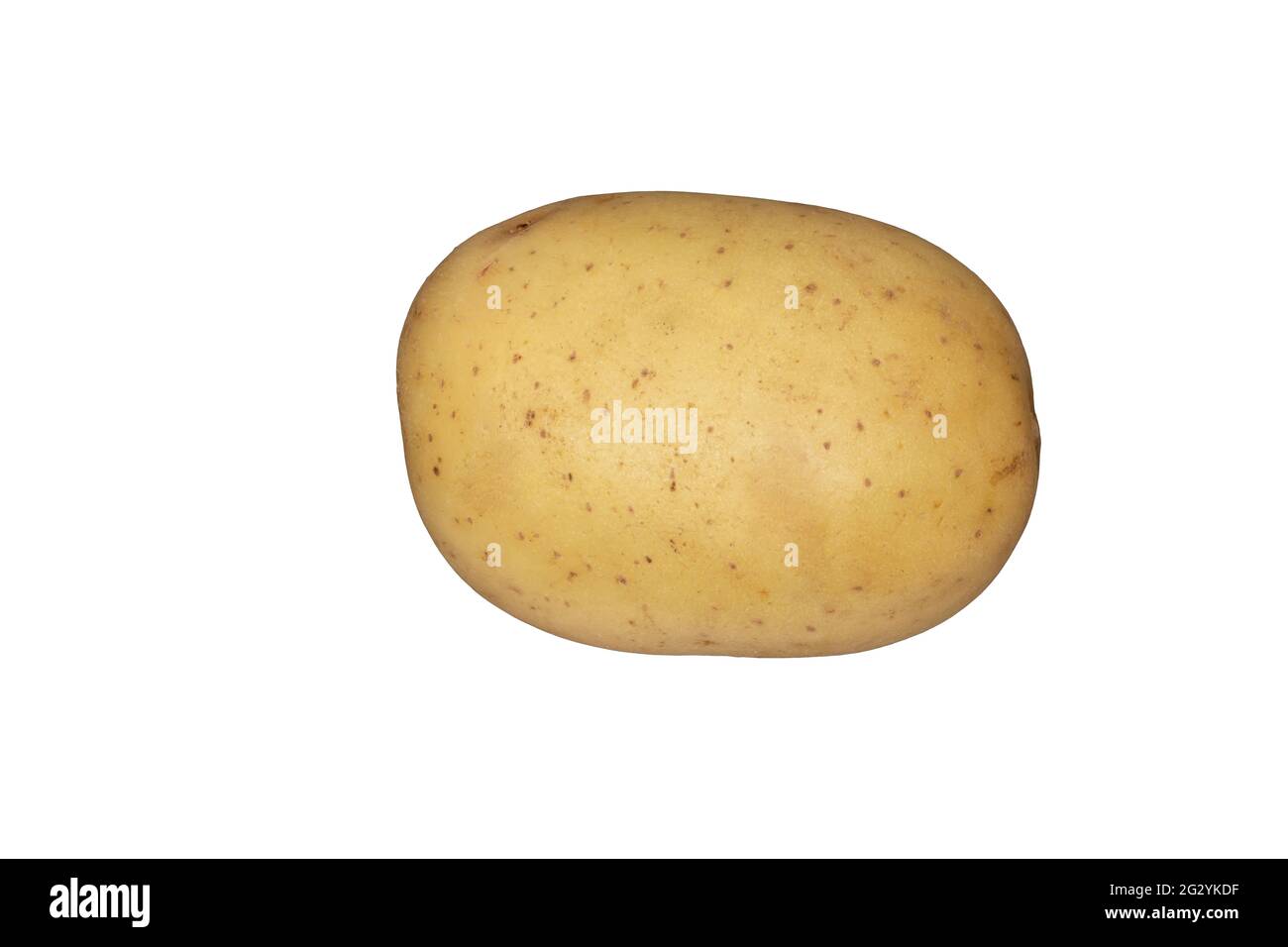 A white potato on a plain white background Stock Photo - Alamy