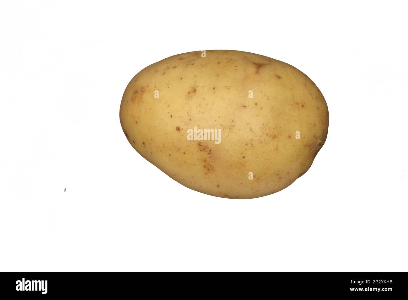 A white potato on a plain white background Stock Photo - Alamy