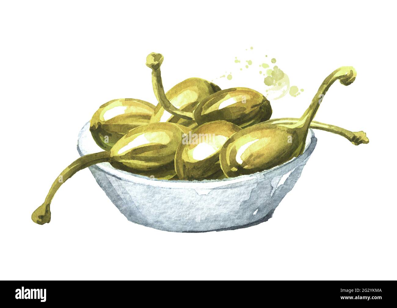 Bowl with Marinated big capers. Hand drawn watercolor illustration ...