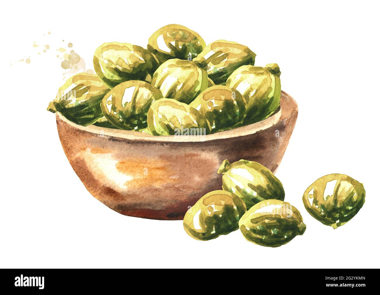 Bowl with Marinated small capers. Hand drawn watercolor illustration ...