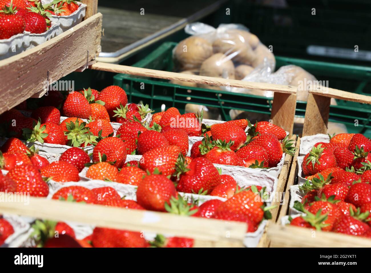 Fresh strawberries at the market Stock Photo - Alamy
