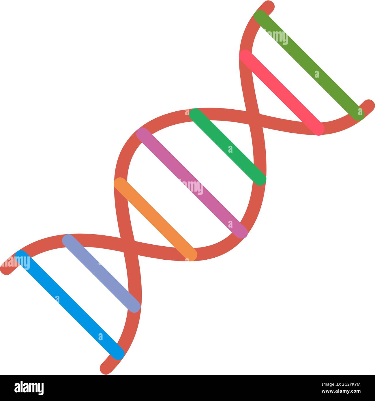 dna gene biology life illustration Stock Photo - Alamy