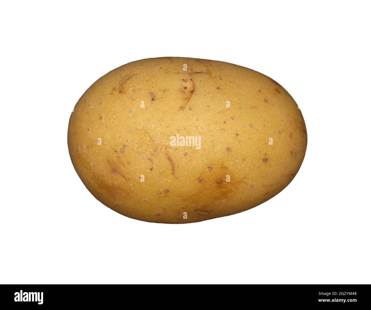 A white potato on a plain white background Stock Photo - Alamy