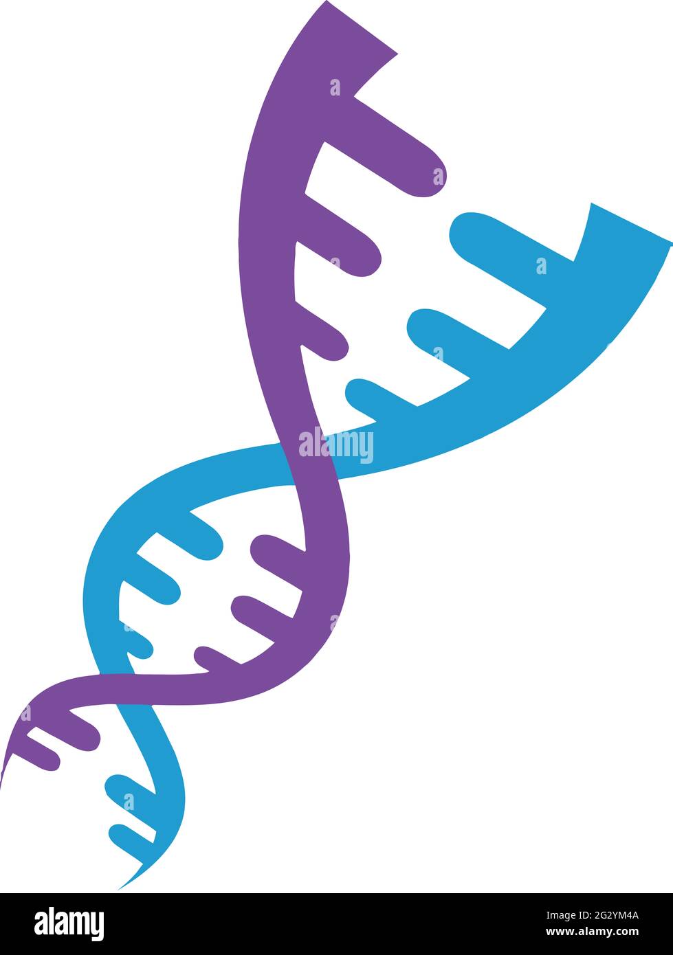 dna gene biology life illustration Stock Photo - Alamy