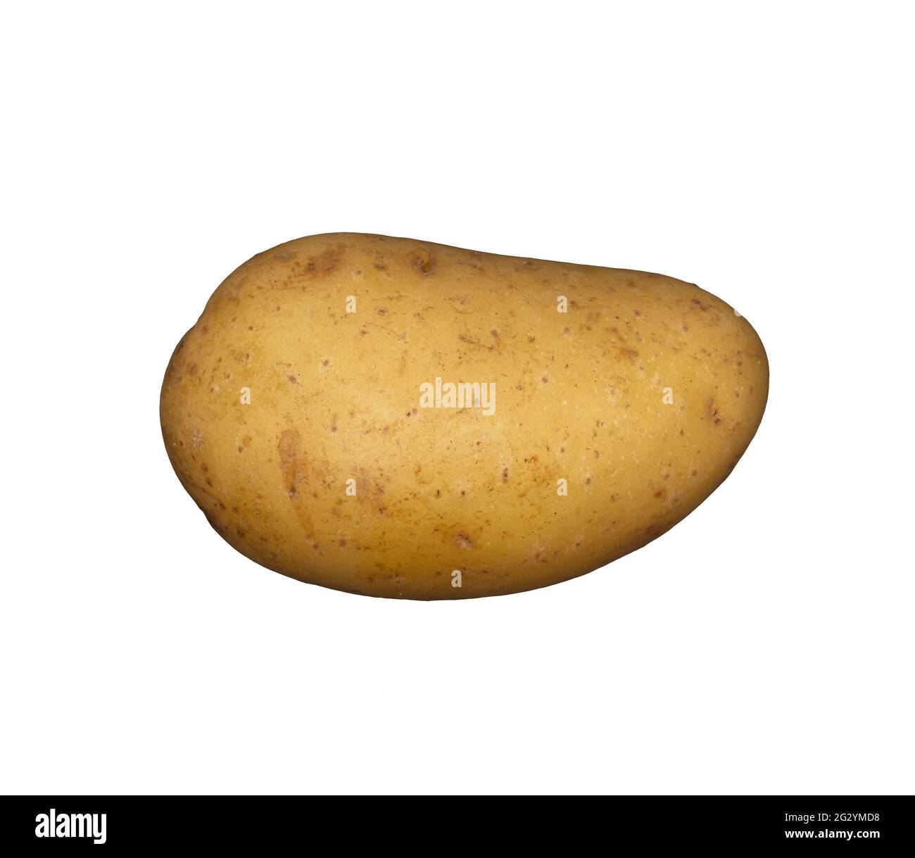 A white potato on a plain white background Stock Photo - Alamy