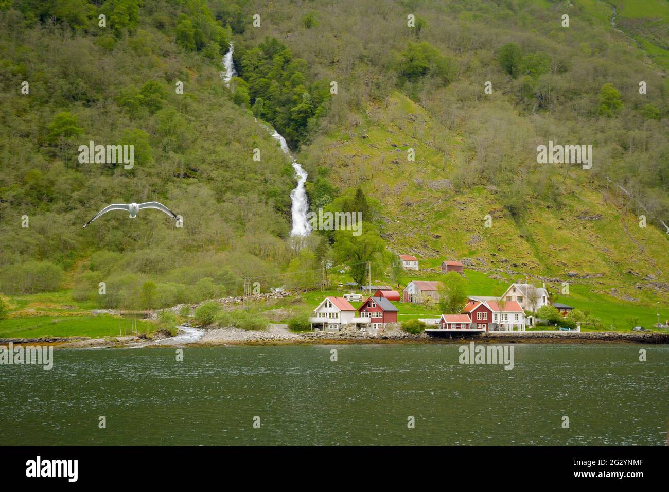 Colorful and beautiful traditional Norwegian red houses on the shores ...