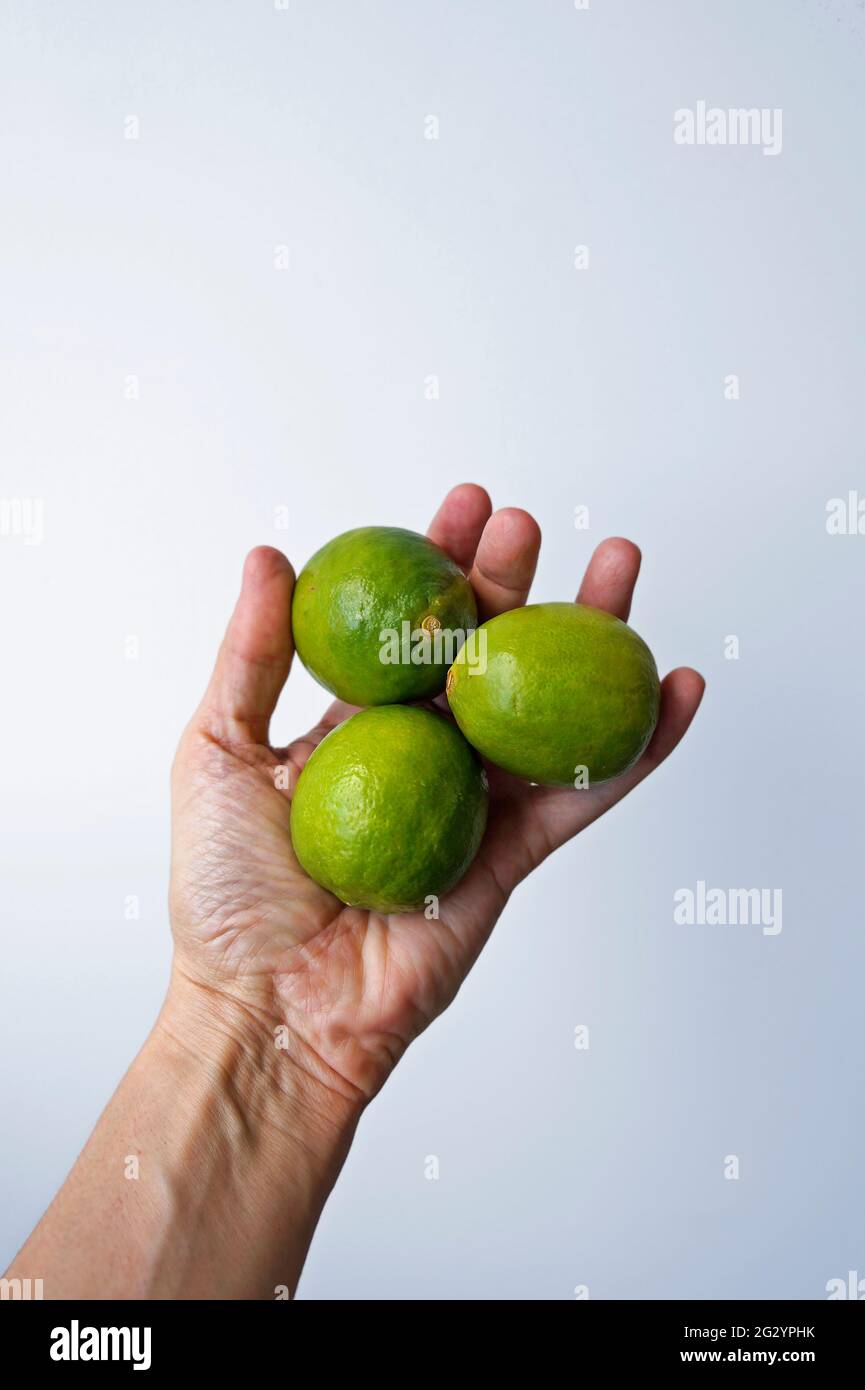 Limes on hand in a bright background Stock Photo - Alamy