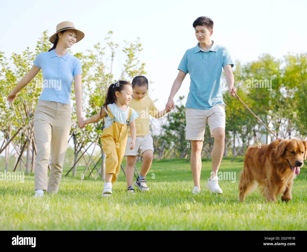 Happy family of four walking dogs in the park high quality photo Stock ...