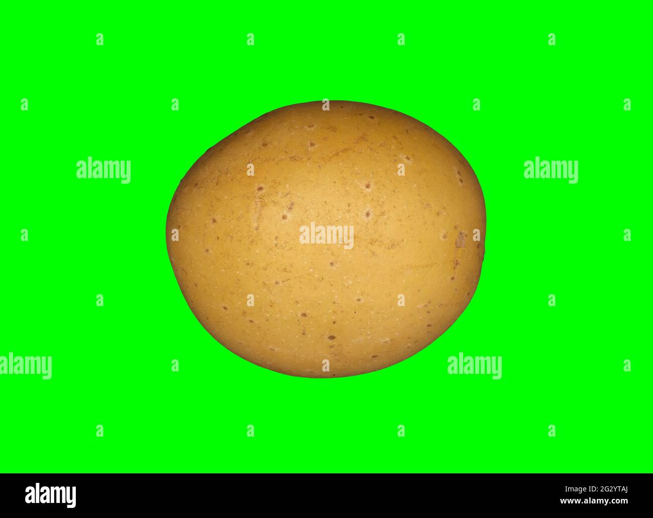 A white potato on a plain green background ready for easy keying Stock ...