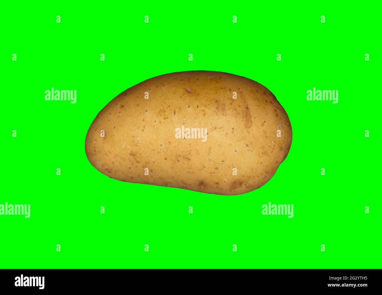 A white potato on a plain green background ready for easy keying Stock ...