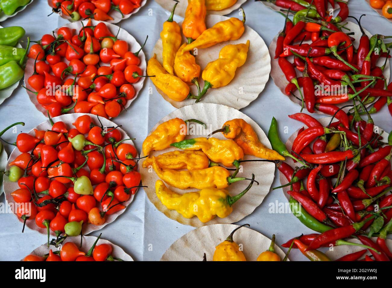 Chilli varieties mix hi-res stock photography and images - Alamy